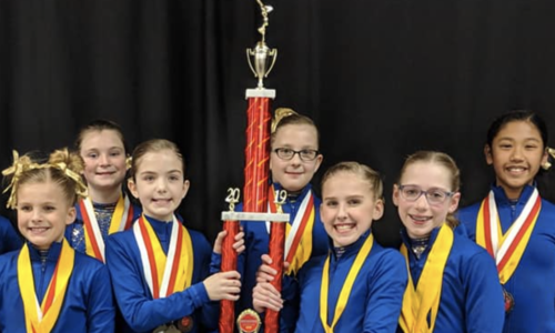 Home Page | Youth Gymnastics Classes | Gold Medal Gyms